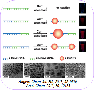 Research-湖南大学生物纳米与分子工程湖南省重点实验室